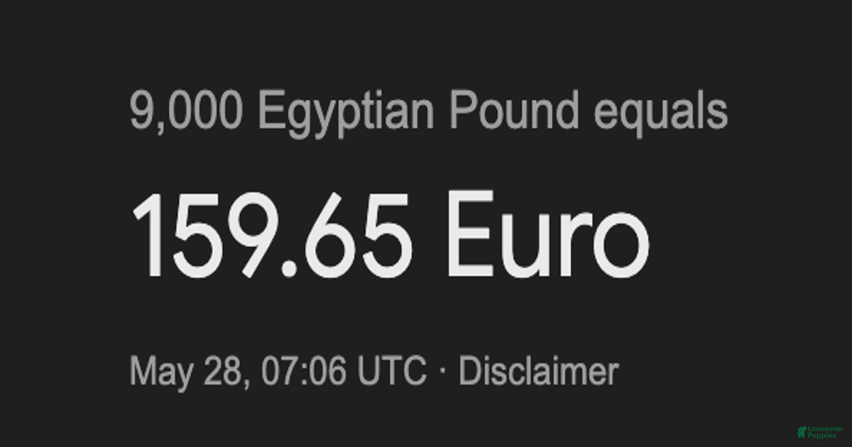 Alapaha Blue Blood Bulldog Puppy 2 for sale in Beverly Hills ...