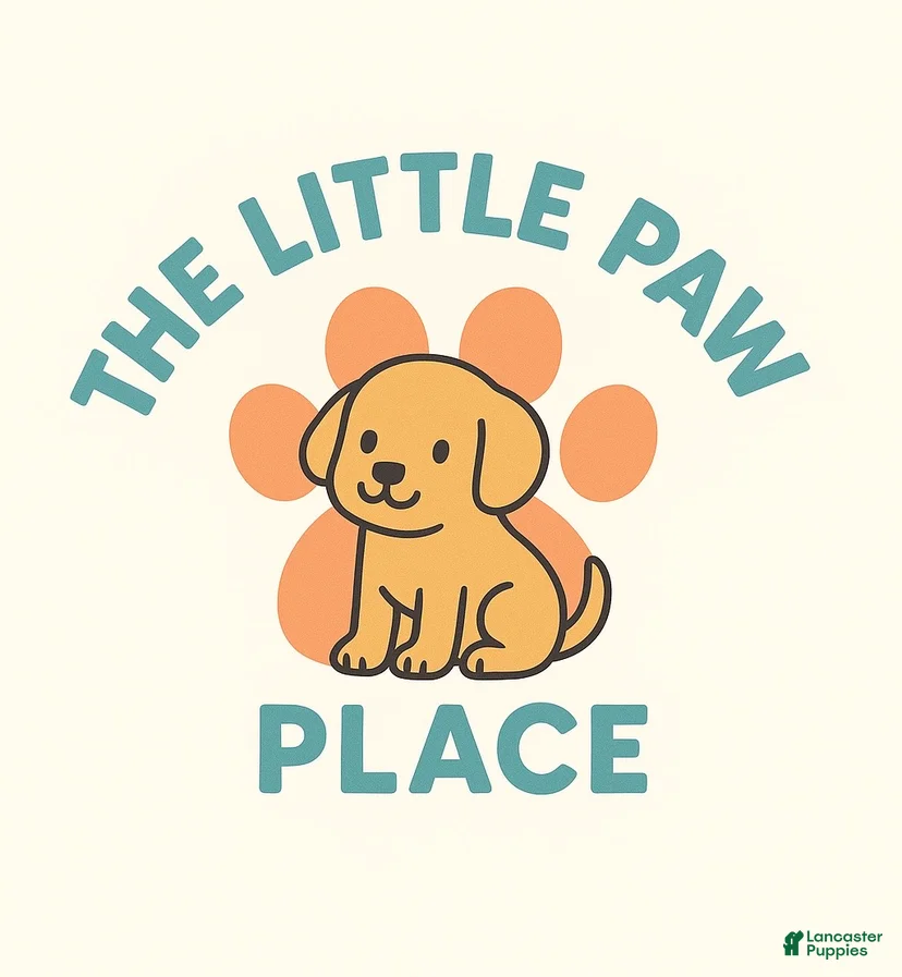 Josh | Lancaster Puppies